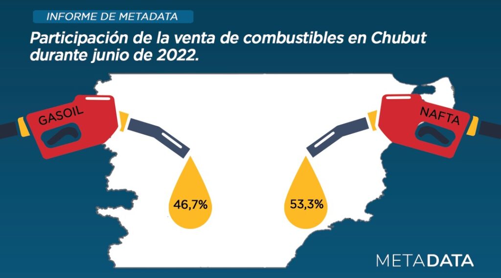 Radiografía de la venta de combustibles: Cuáles son las provincias que más nafta consumen y ...