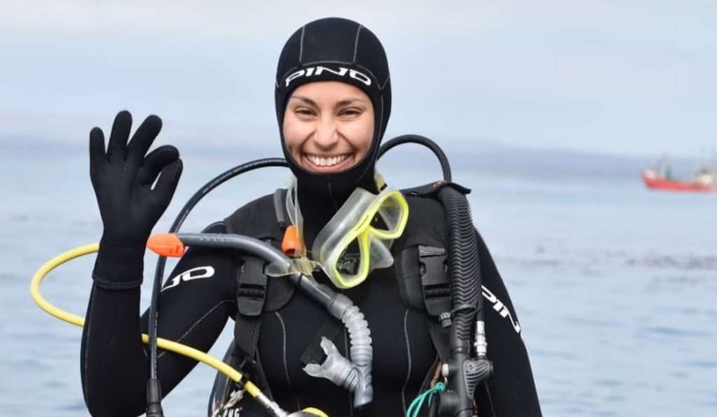 Un nuevo descubrimiento en Chubut: La estrella de mar panzona, una ...