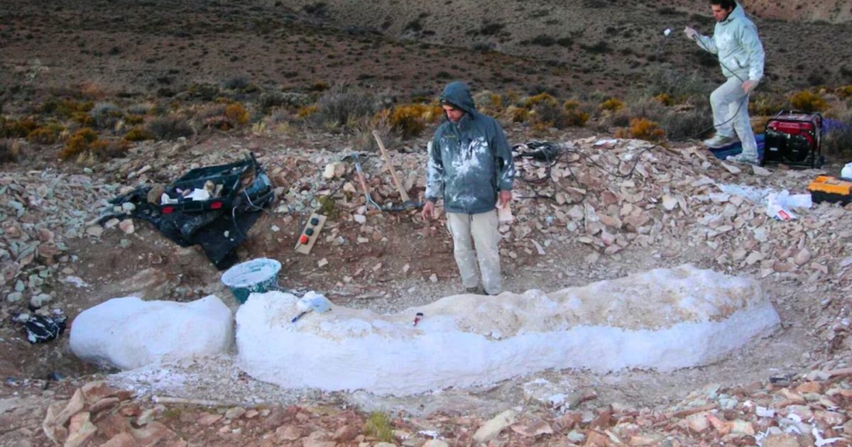 Hallan en Chubut una nueva especie de dinosaurio herbívoro y de cuello ...